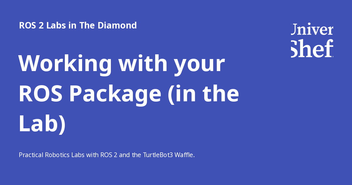Working with your ROS Package (in the Lab) - ROS 2 Labs in The Diamond